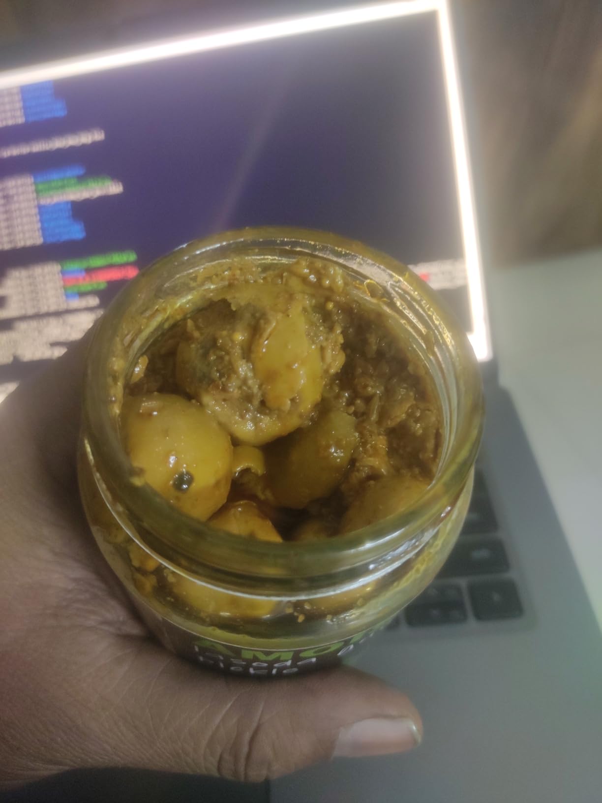 Amoish's Authentic Rajasthani Lasoda Gunda Pickle in Mustard Oil ...