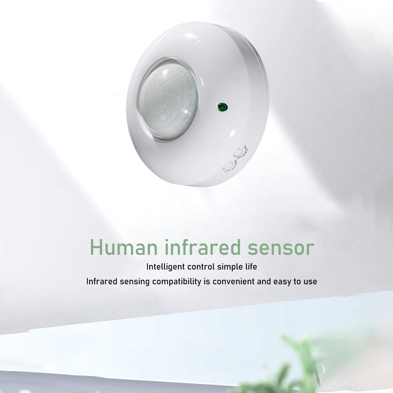 Motion Switch For Fluorescent Light