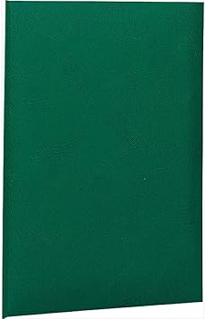 Amazon | ナカバヤシ 証書ファイル レザー A4 緑 FSL-A4G 【まとめ買い5冊セット】 | 賞状額縁 | ホーム＆キッチン