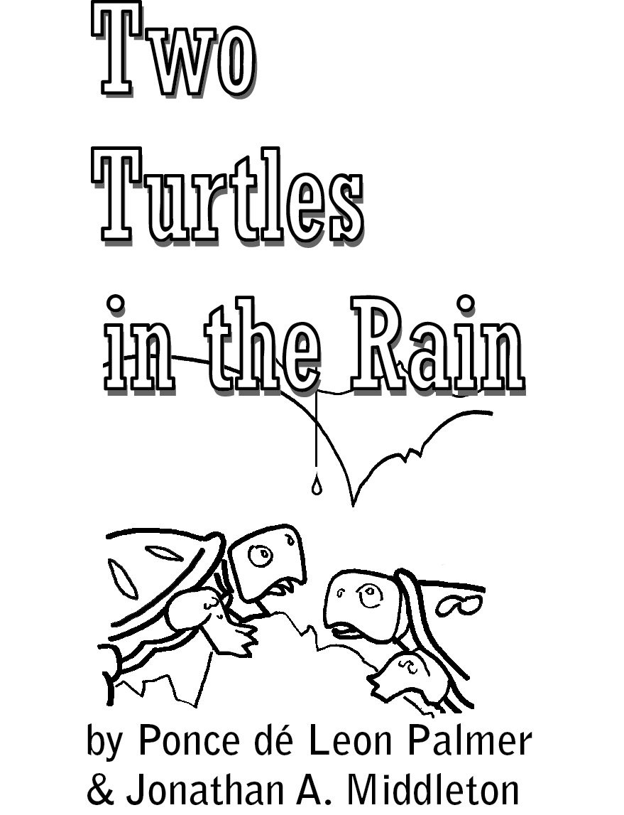 Amazon | Two Turtles in the Rain (English Edition) [Kindle edition] by ...