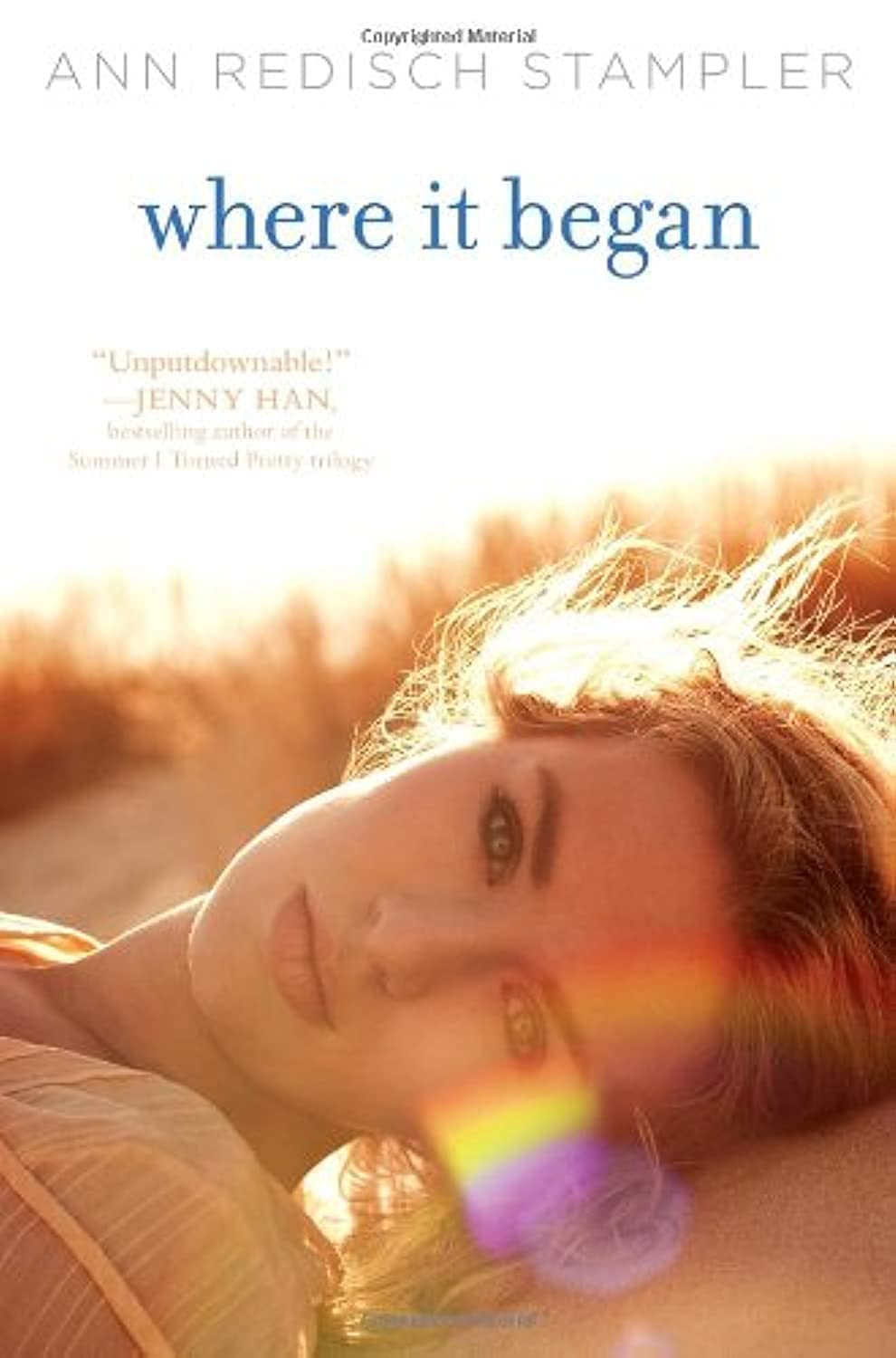 Amazon.com: Where It Began: 9781442423213: Stampler, Ann Redisch: Books