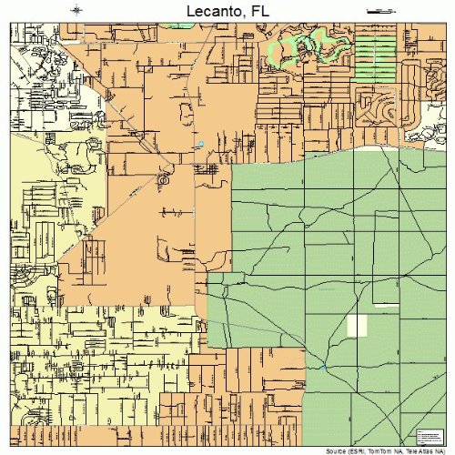 Amazon.com: Large Street & Road Map of Lecanto, Florida FL - Printed ...