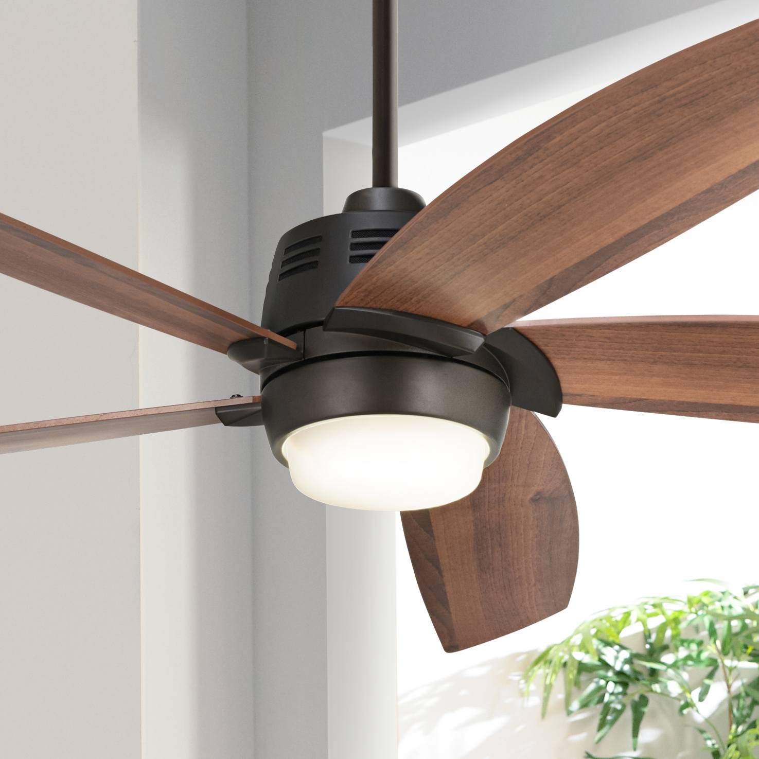 56 Casa Ecanto Oil Rubbed Bronze Led Ceiling Fan Casa | Desertcart ...
