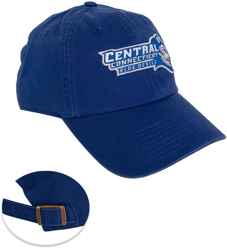 Amazon.com: Desert Cactus Central Connecticut State University Baseball ...