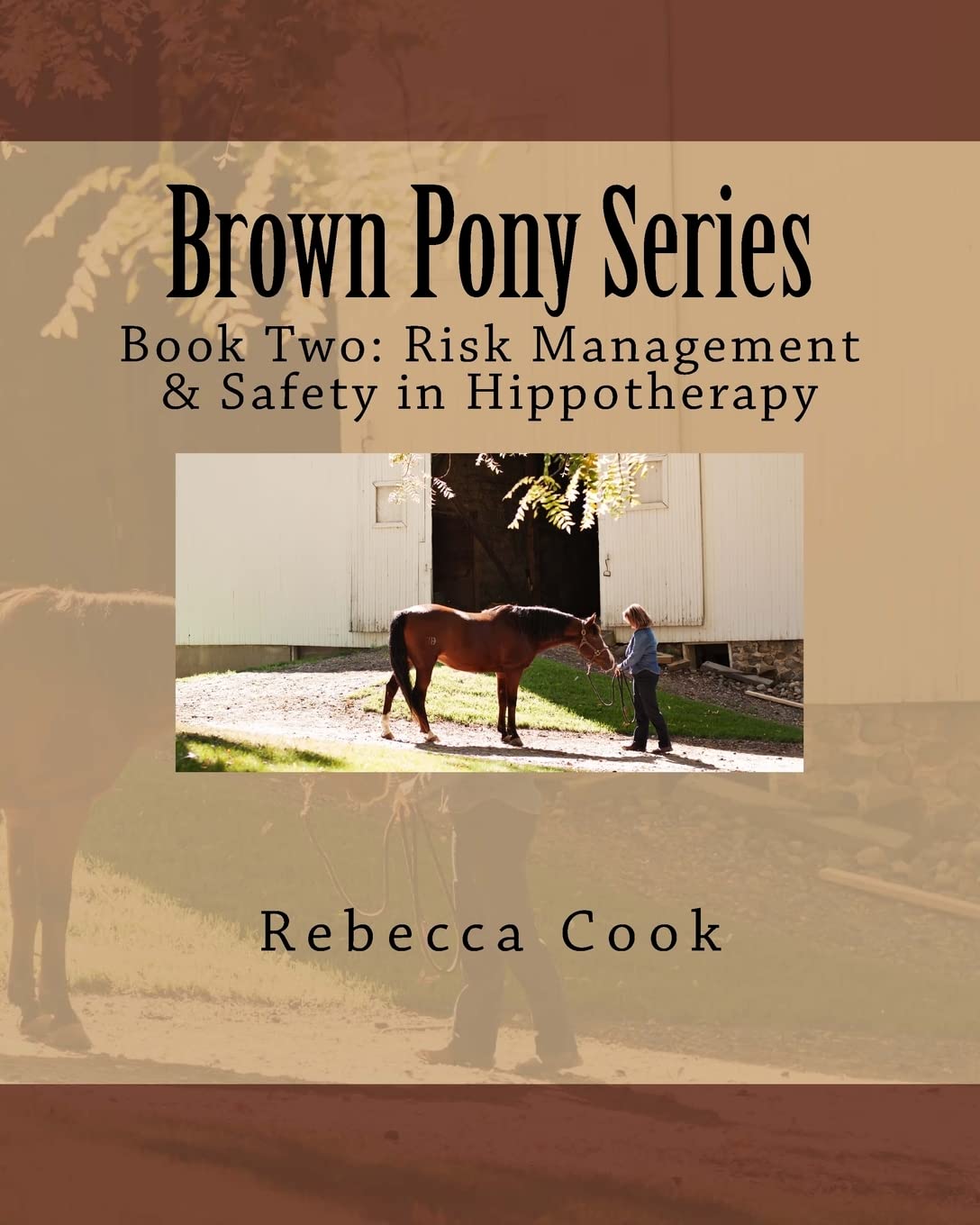 Brown Pony Series: Book Two: Risk Management & Safety in Hippotherapy ...