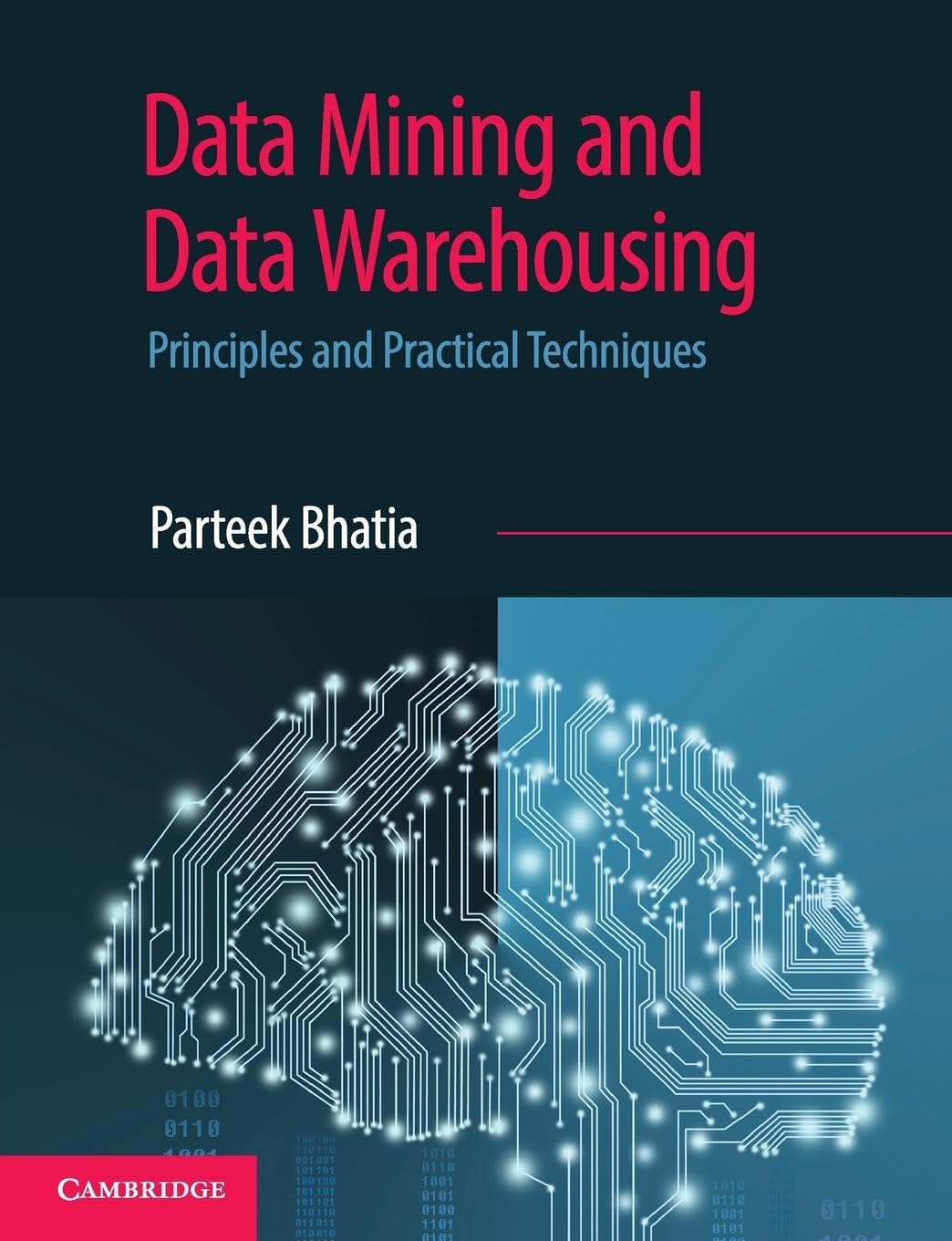 Buy Data Mining and Data Warehousing: Principles and Practical Techniques Book Online at Low ...