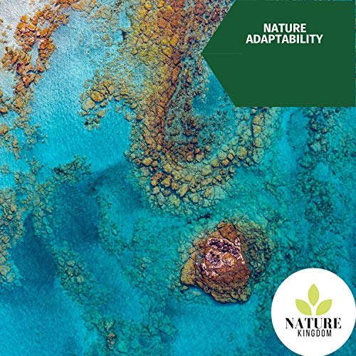Play Nature Adaptability by Nature Field Recordings & Nature ...