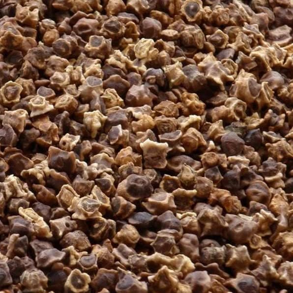 Amazon.com : Sugar Beets Seed (5 Lbs.) : Patio, Lawn & Garden