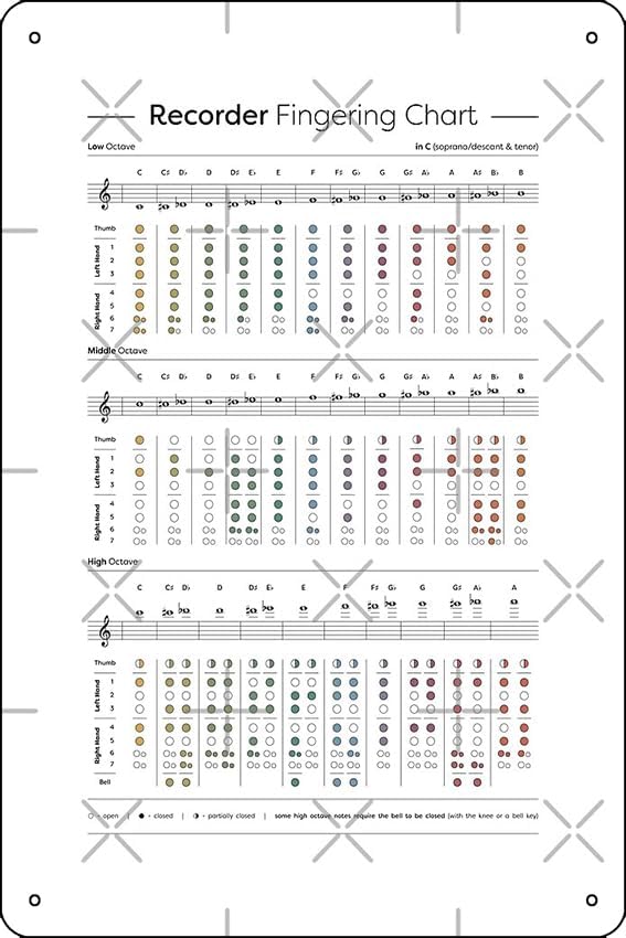 Amazon.com: Recorder Fingering Chart - Soprano Poster Metal Tin Sign 12 ...