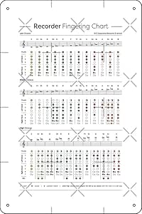 Amazon.com: Recorder Fingering Chart - Soprano Poster Metal Tin Sign 12 ...