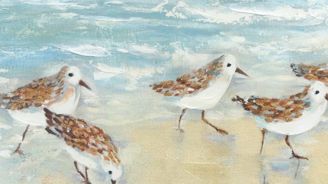 Watch Sandpiper Painting Beach Wall Art Bird Picture Seagull Print on ...