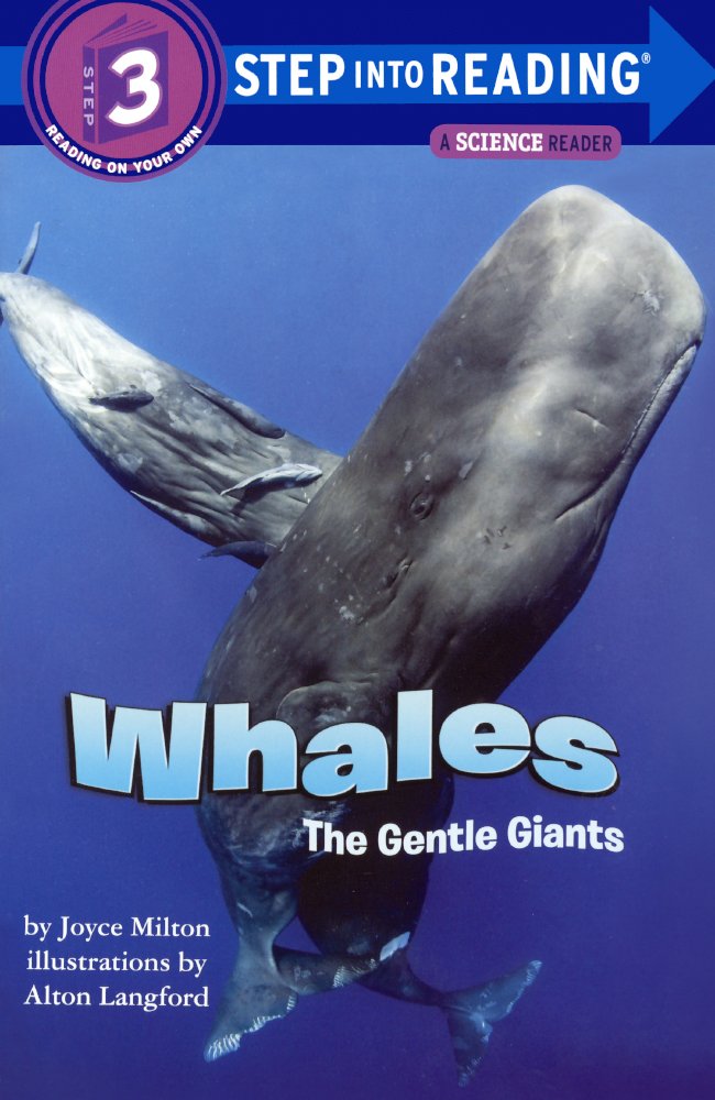 Amazon.co.jp: Whales: The Gentle Giants : 本