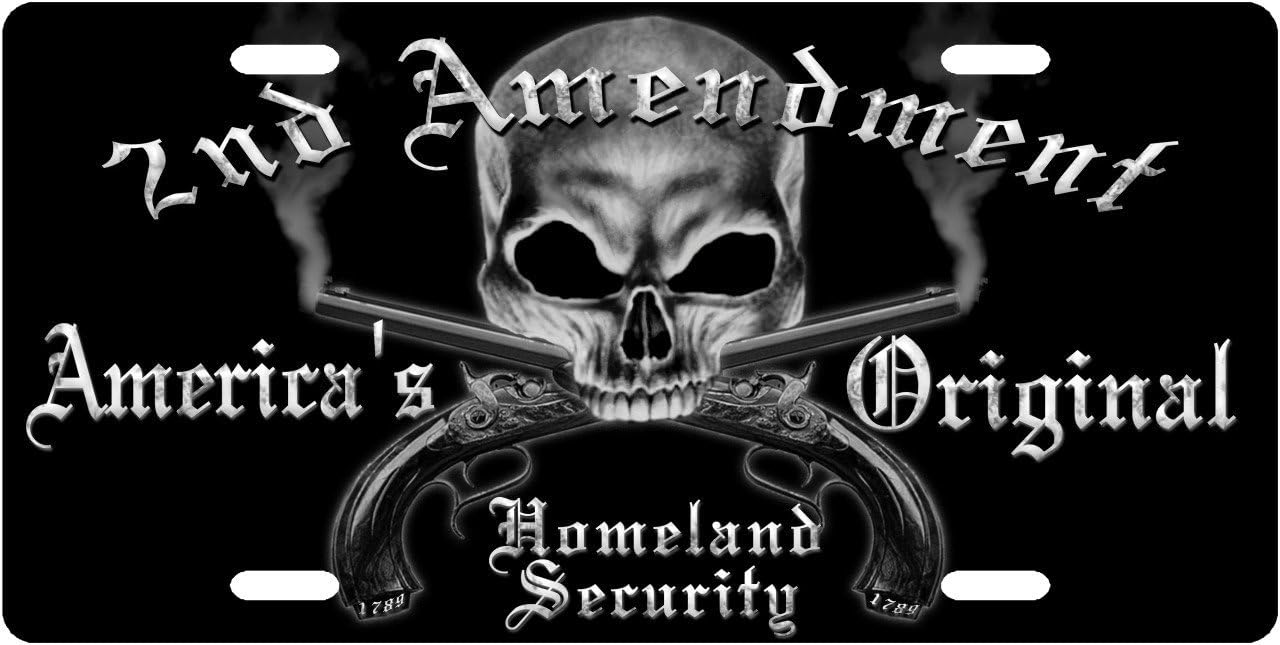 Amazon.com: Second Amendment - License Plate Novelty Tag from Redeye ...