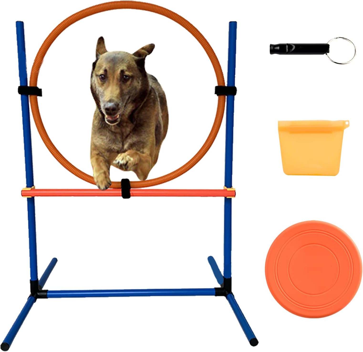Amazon.com : WOW PET PRODUCTS Dog Jump Ring Agility Kit Hoop Jump Set ...