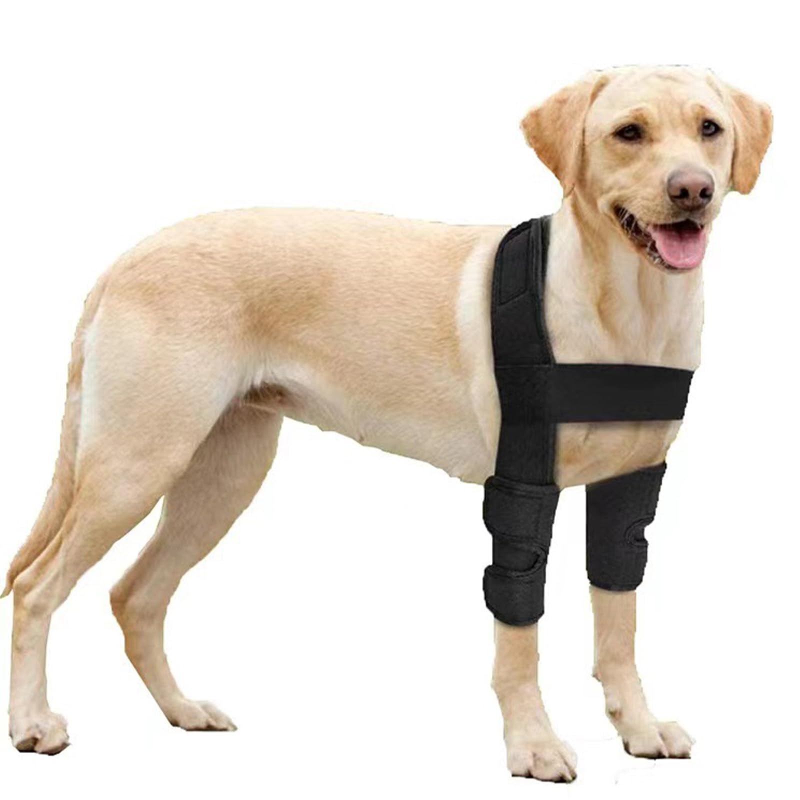 Amazon.com : Dog Elbow Brace Dog Shoulder Brace for Elbow Support and ...