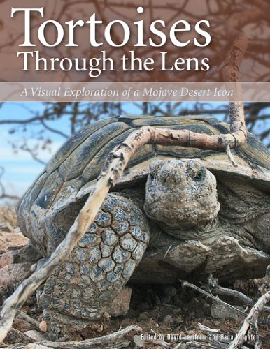 Tortoises Through the Lens: A Visual Exploration of a Mojave Desert ...