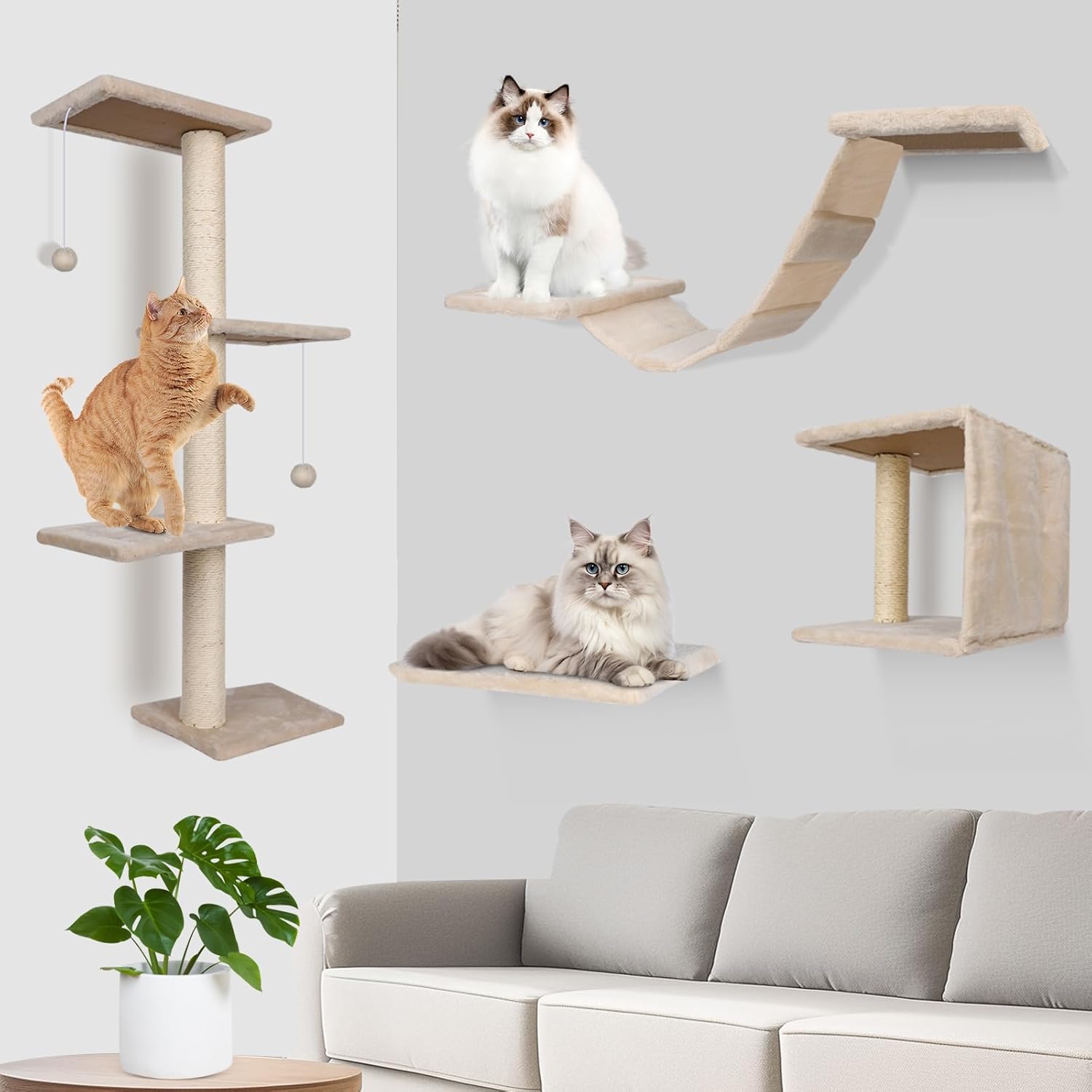 Amazon.com : Almcmy Cat Wall Furniture, 4 PCS Wall-Mounted Cat Climber ...