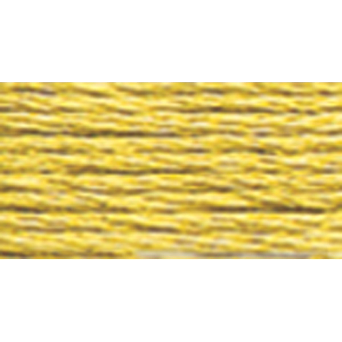 Amazon.com: DMC 117-834 6 Strand Embroidery Cotton Floss, Light Golden ...