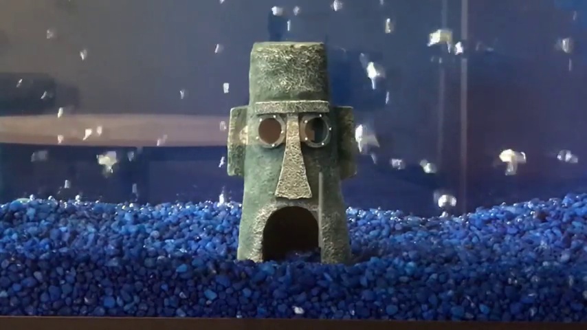 Squidwards House Inside