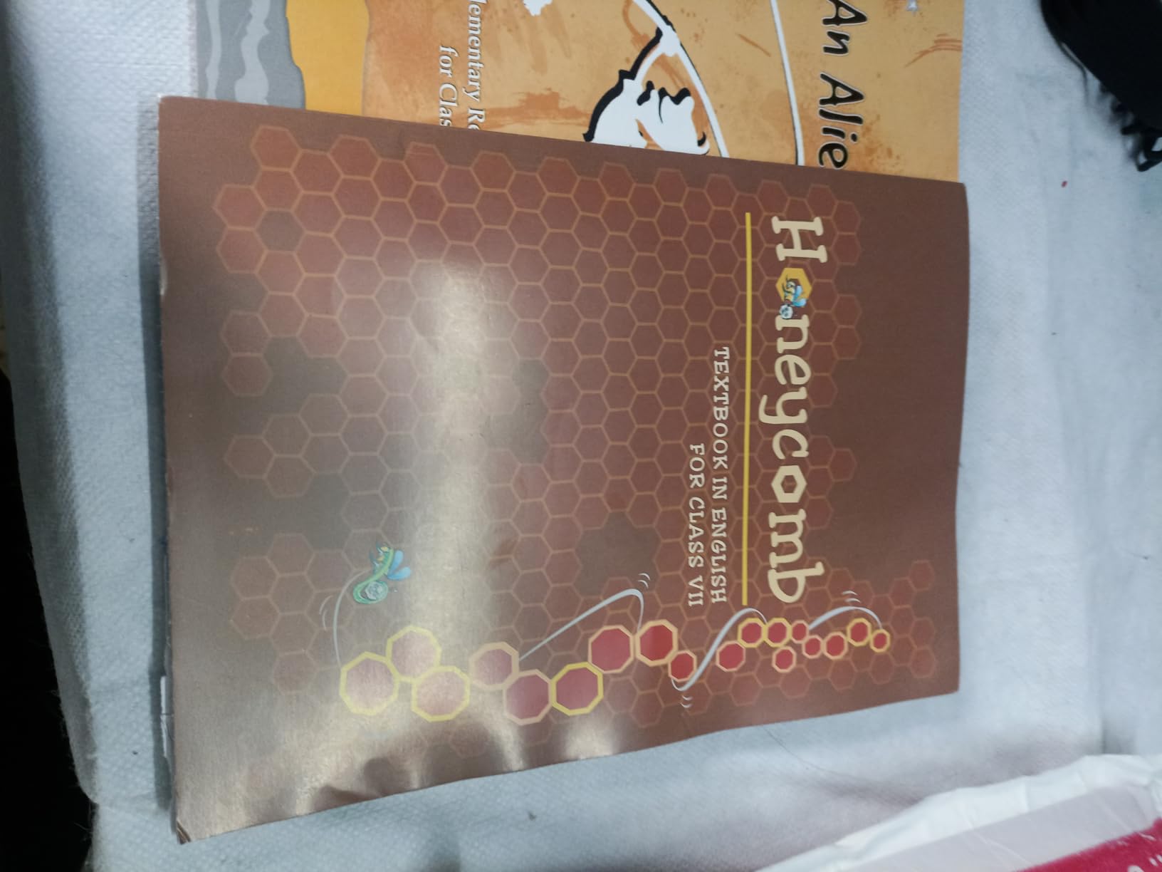 NCERT English Textbook for Class 7