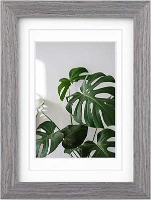 Amazon.com - Green Tree Gallery Frame