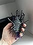 Amazon.com: Schleich Eldrador Creatures - 34 PC Shadow Battle Cave with ...