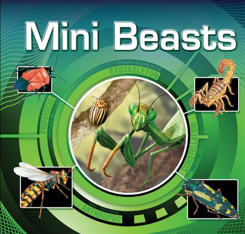 Mini Beasts (Lenticular Books) : Assorted: Amazon.co.uk: Books