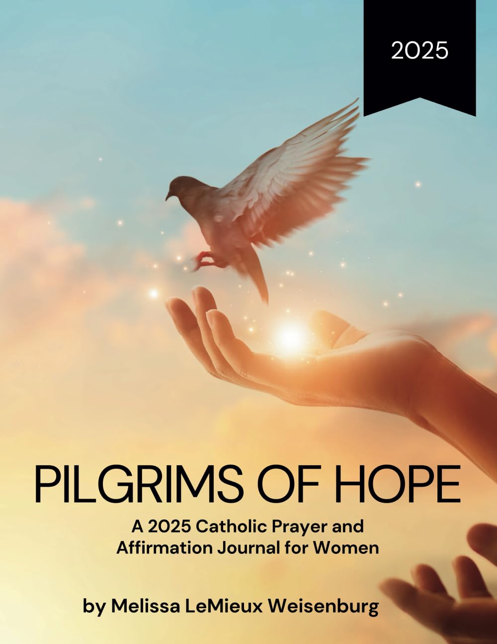 Pilgrims of Hope: A 2025 Catholic Prayer and Affirmation Journal for ...