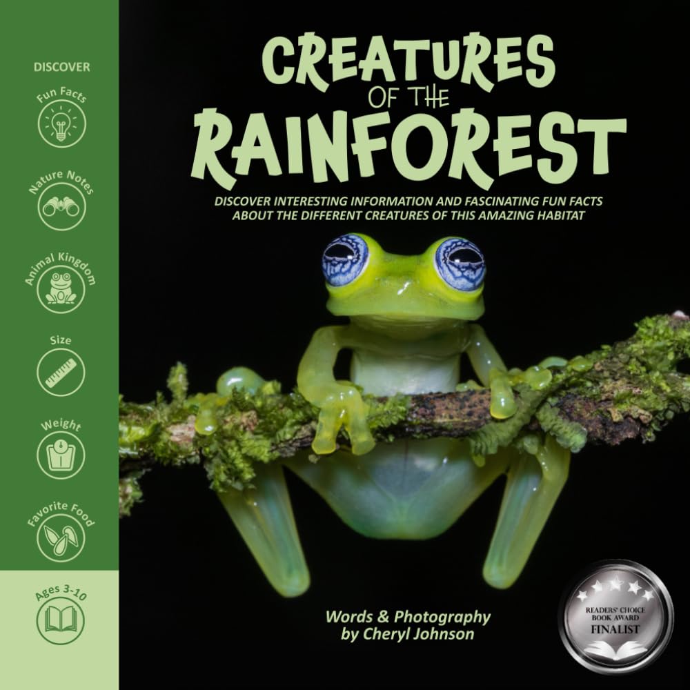 Amazing Creatures of the Rainforest: Rainforest picture book for kids ...