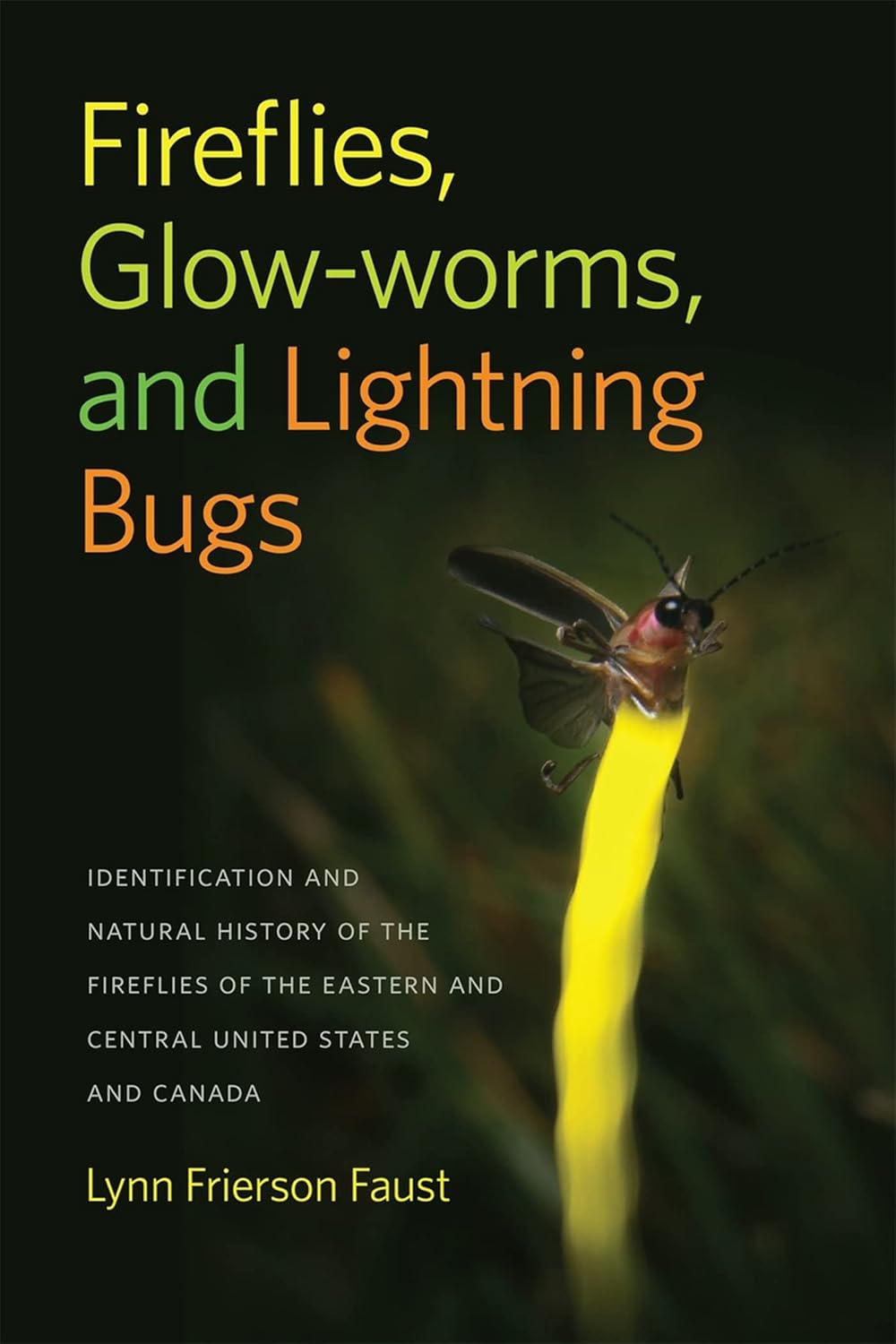Fireflies, Glow-worms, and Lightning Bugs: Identification and Natural ...