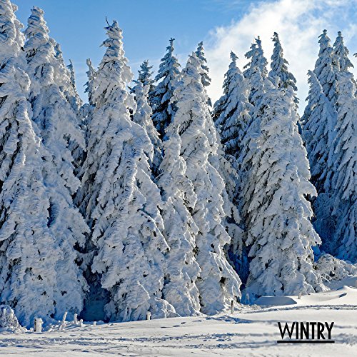Amazon.com: Wintry : Monolab: Digital Music