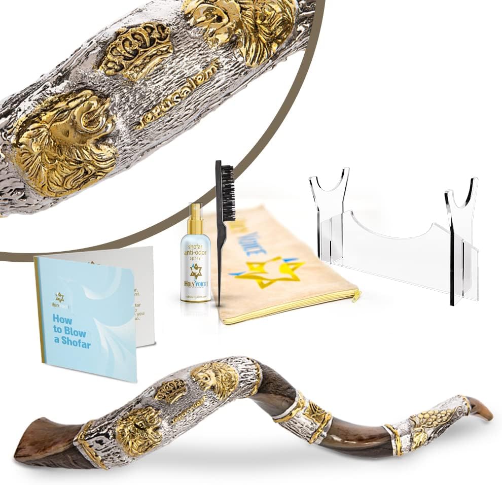 Amazon.com: Shofar from Israel Polish Polished Silver Plated Set Kudu ...