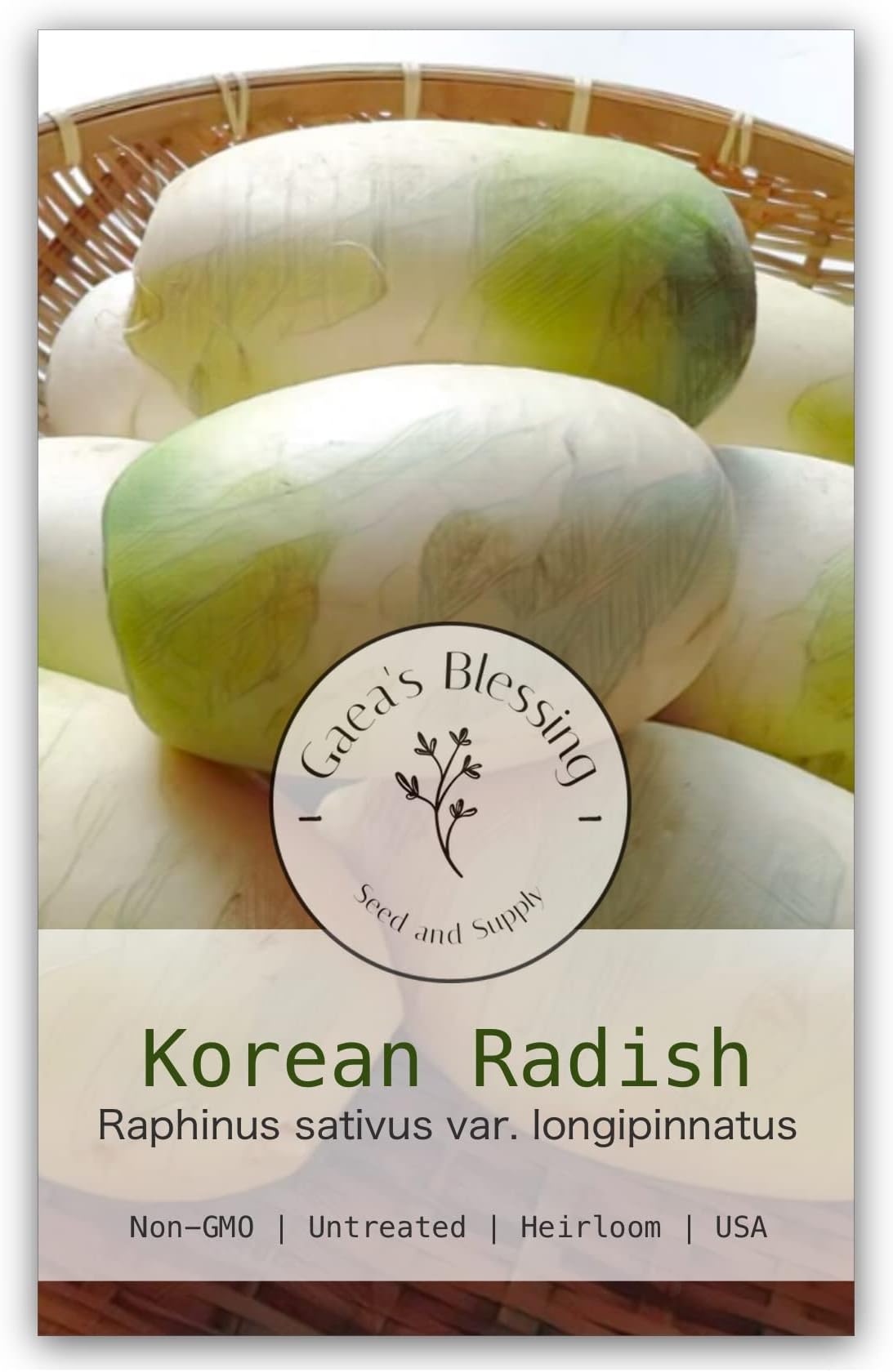 Amazon.com : Radish Seeds - Korean - Bora King - Hybrid - 1 g Packet ...