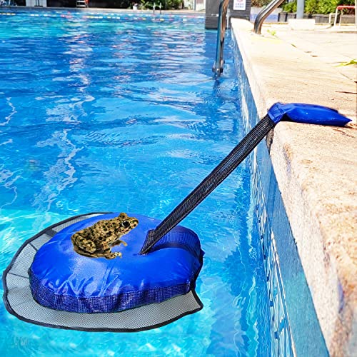 Top 10 Frog Saver For Pool of 2022 - Katynel