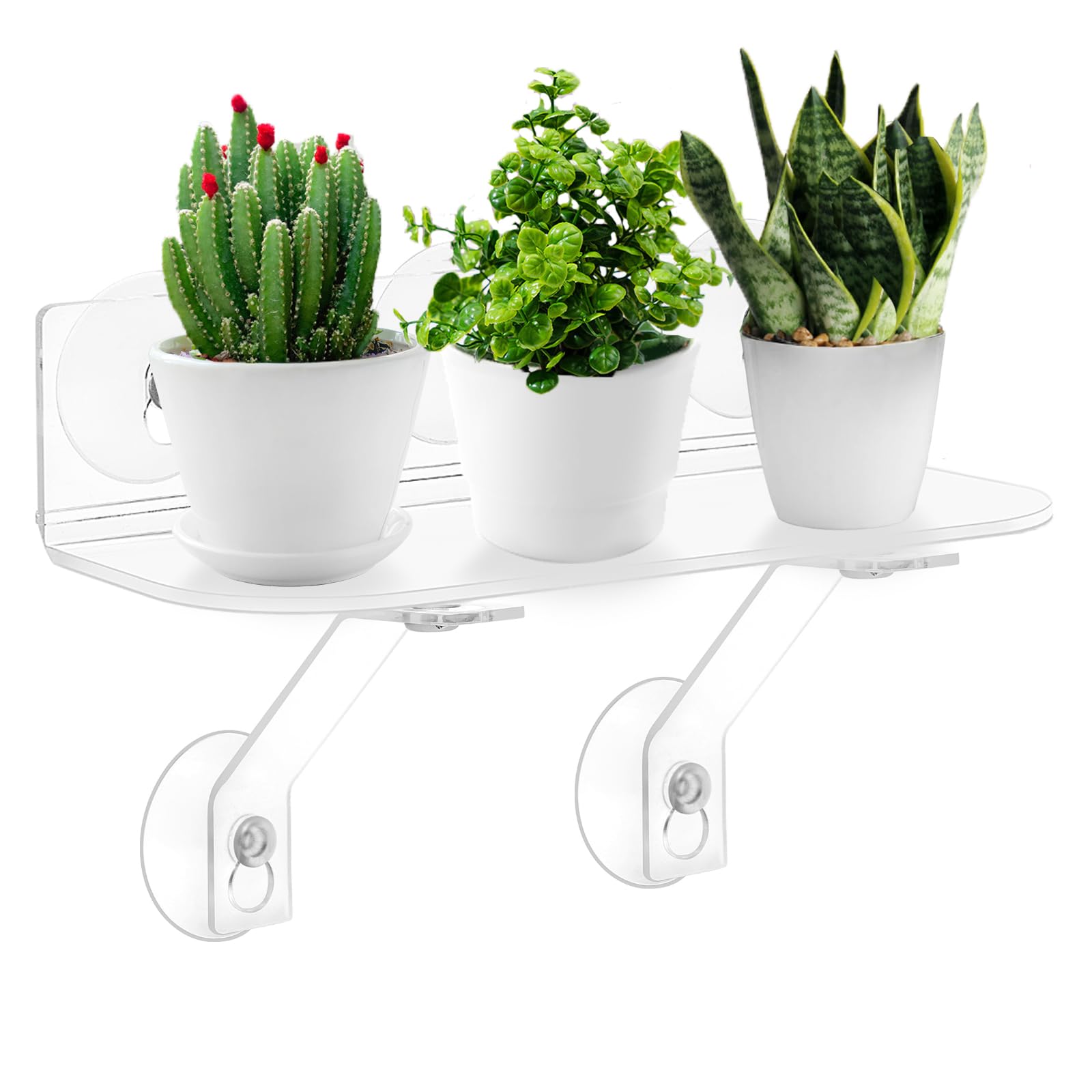 Amazon.com: 12-Inch Window Boxes Sill Planter Suction Cup Holder, 5 ...