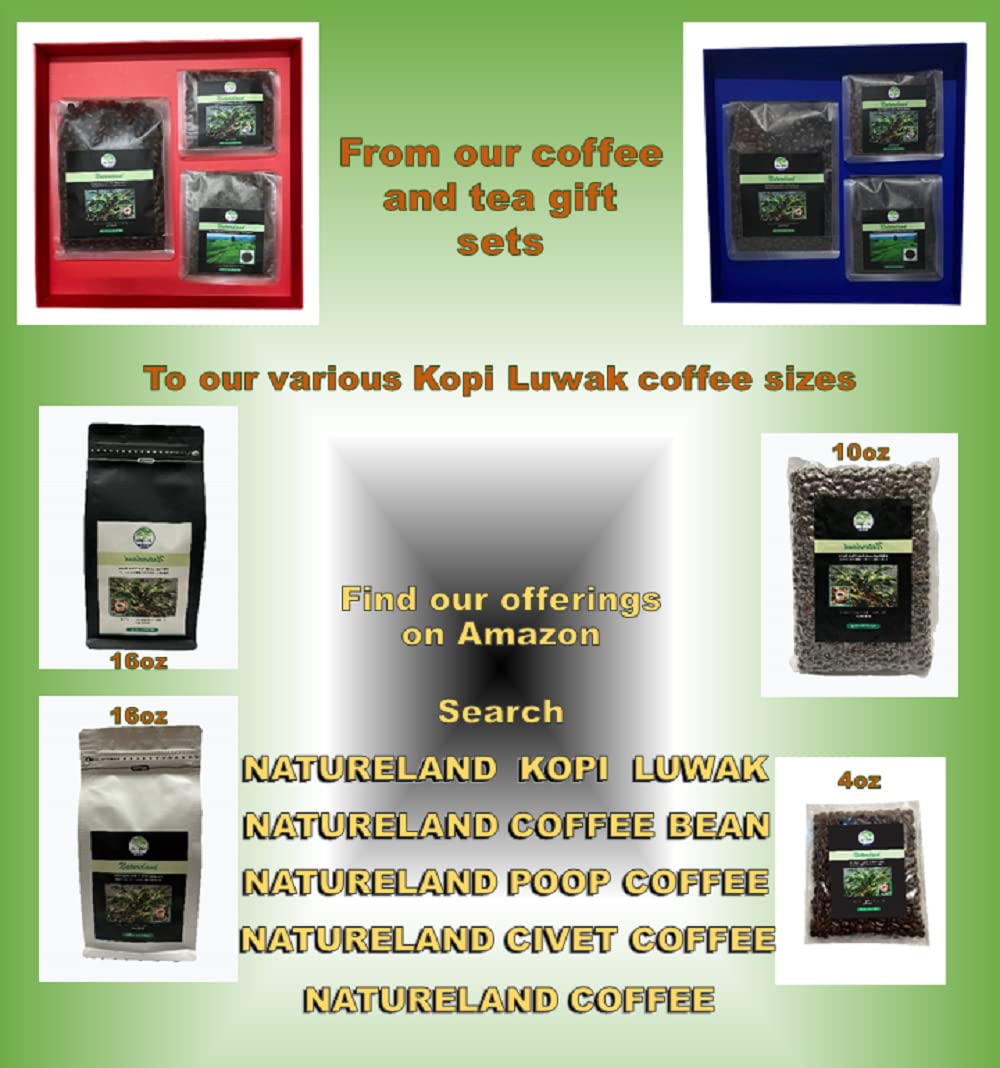 Kopi Sini By Bean Here Coffee at Eden Gleeson blog