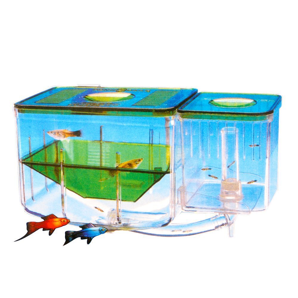 Saim Plastic Fish Isolation Box Multi- functional Breeding Incubator ...
