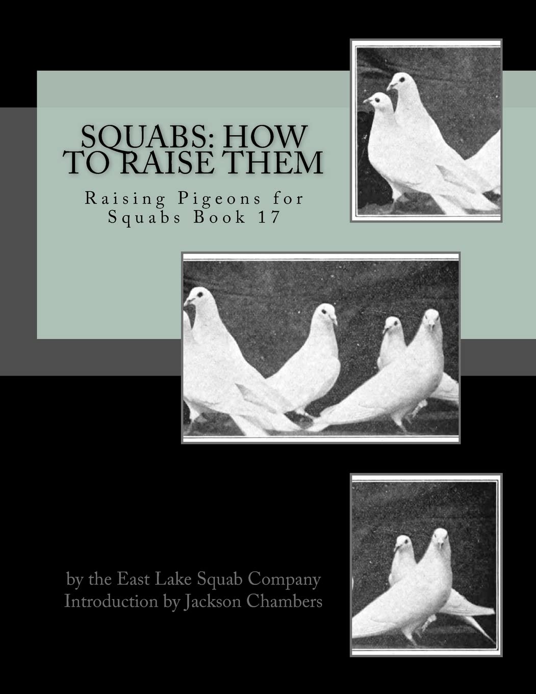 Squabs: How To Raise Them: Raising Pigeons for Squabs Book 17: Squab ...