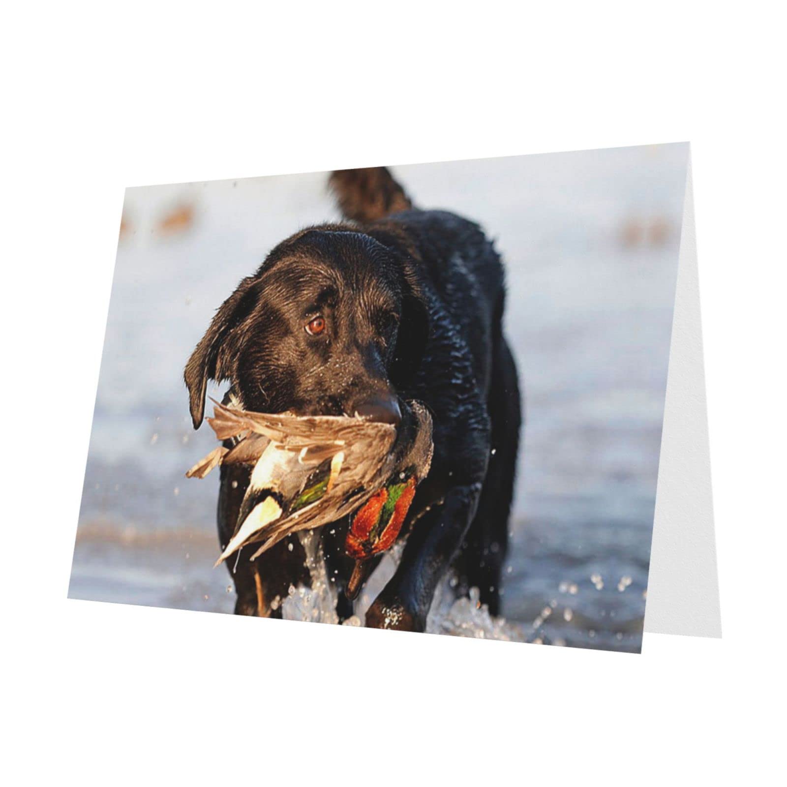 Hunting Themed Thank You Cards Camo Hunting Pool Kids Party Fill In