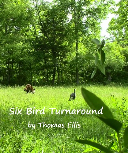 Six Bird Turnaround eBook : Ellis, Thomas: Amazon.co.uk: Books