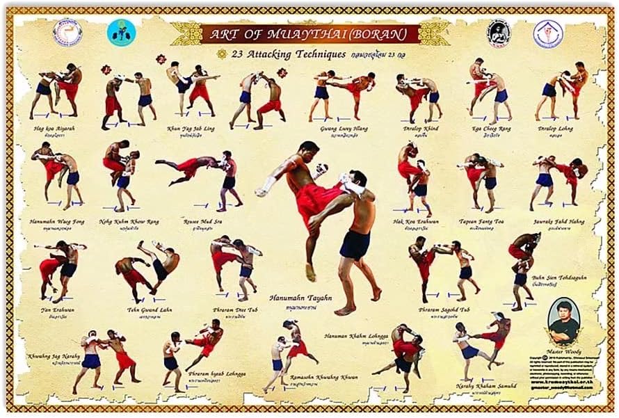 Amazon.com: QSHPO Muay Thai Boran Knowledge Metal Sign 23 Attacking ...