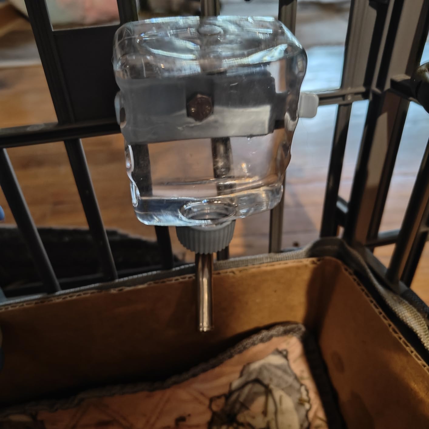 Amazon.com : Vannon Small Animal Water Bottles for Crate Mini Clear ...