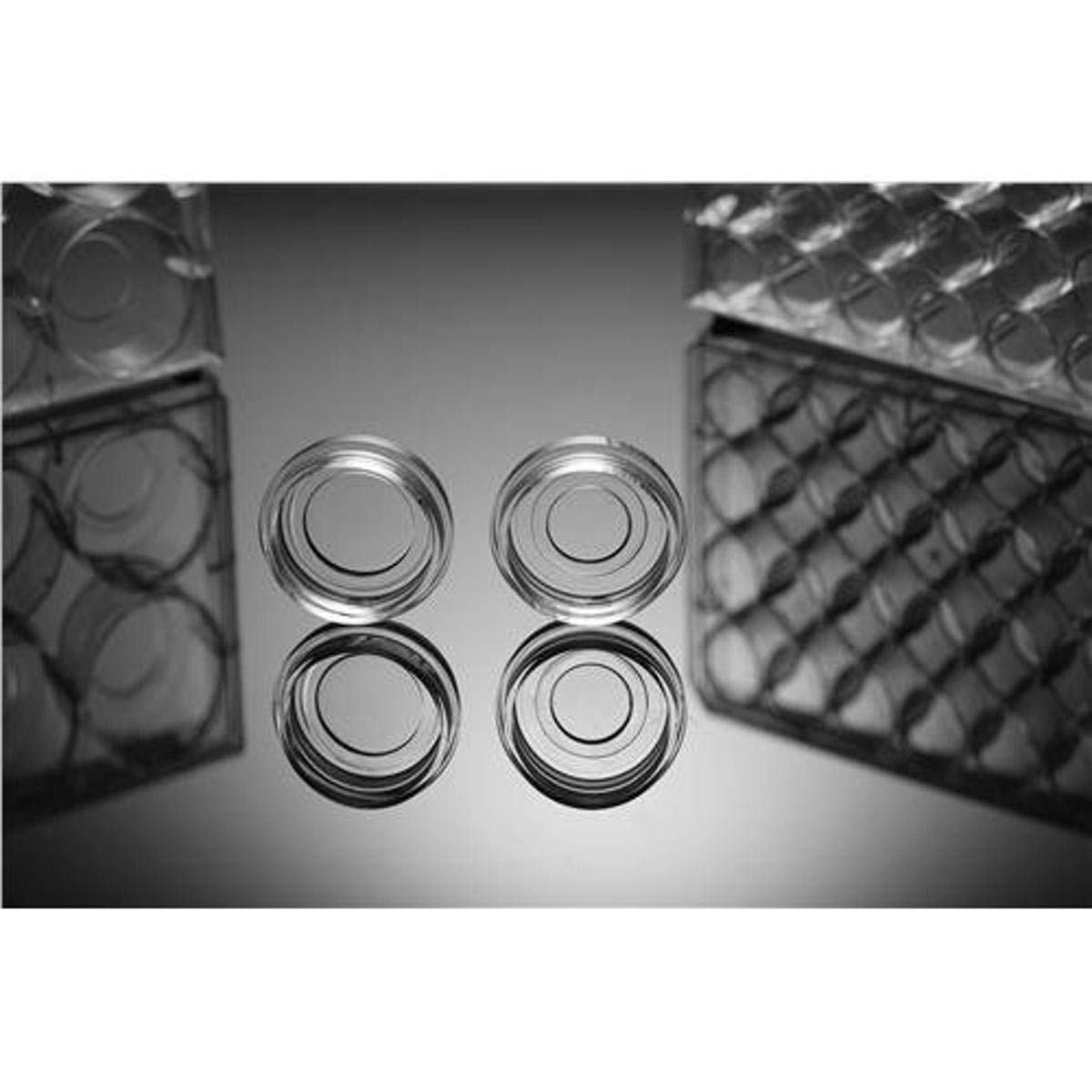 Snapklik.com : Nest Scientific 801004 TC-Treated Cell Culture Plate ...