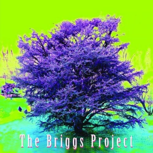 Amazon.com: The Briggs Project : The Briggs Project: Digital Music