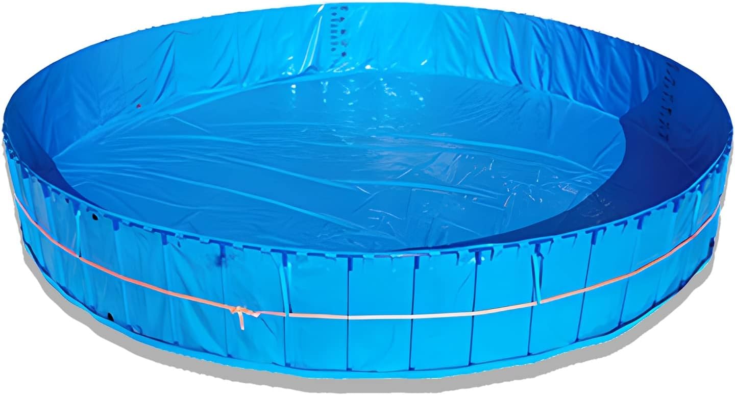 Amazon.com : Large Round Swimming Pool/Pool Above Ground for Indoor ...