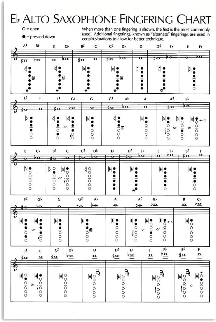 Amazon.com - JIUFOTK Saxophone Knowledge Metal Signs Eb Alto Saxophone ...