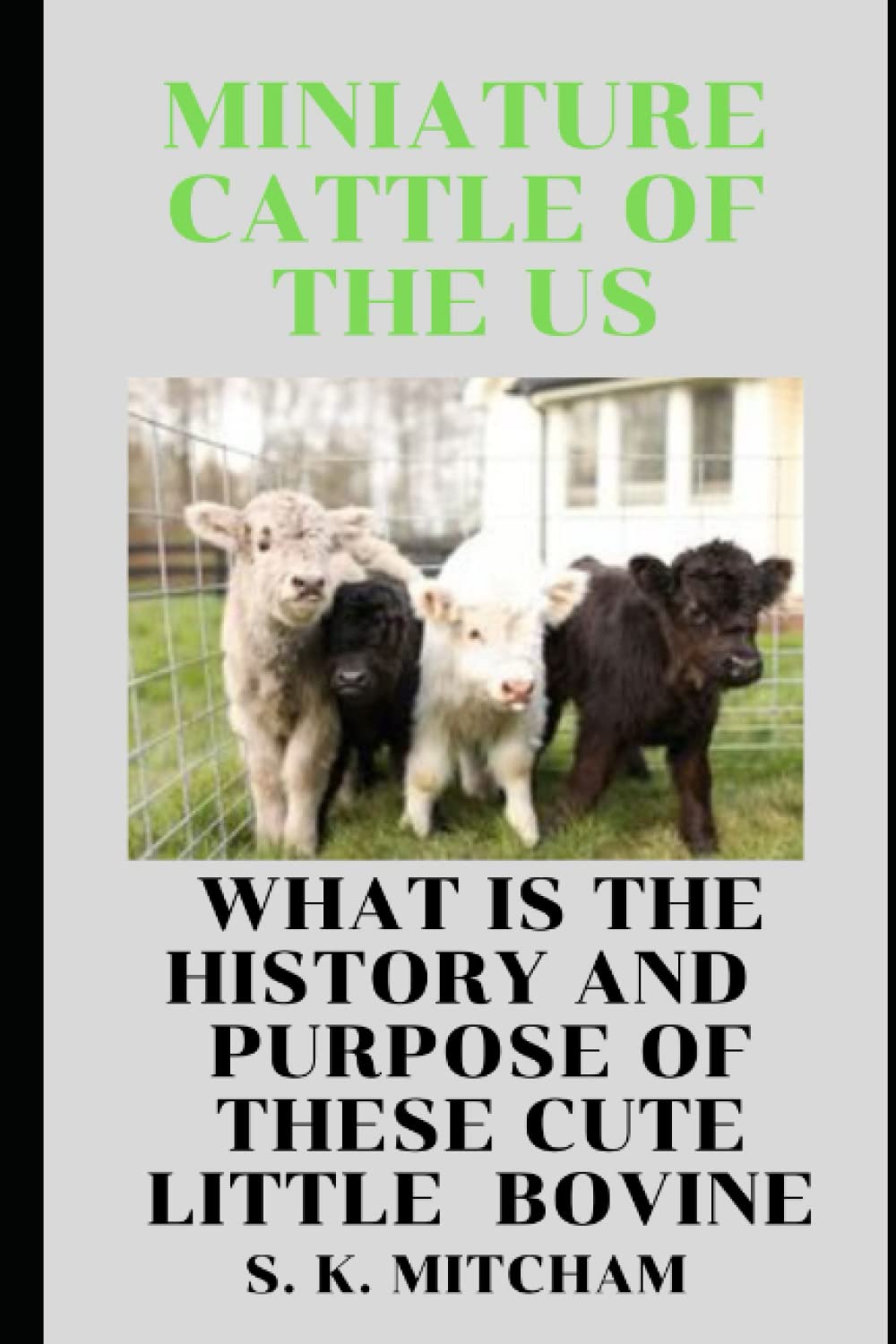 Miniature cattle in the US: What is the history and purpose of these ...