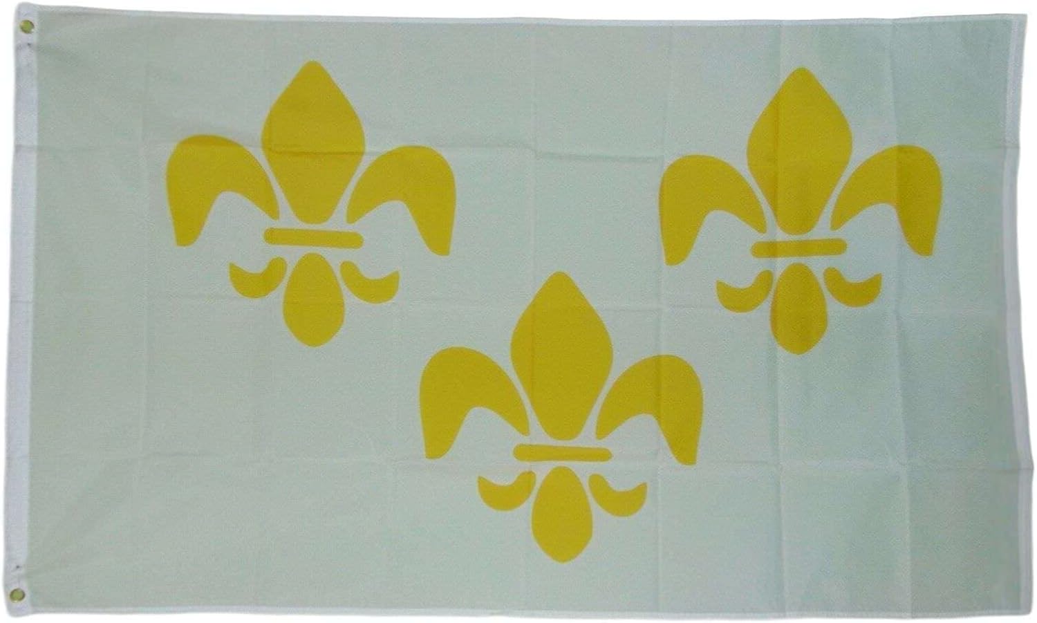 Amazon.com : New 3x5 3 Fleur De Lis Orleans French Flag 3'x5' House ...