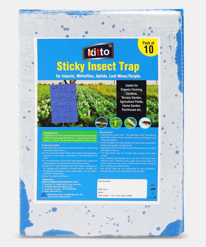 Kitto Blue Non-Toxic and Chemical-Free Fly Insect Pads for Insects ...
