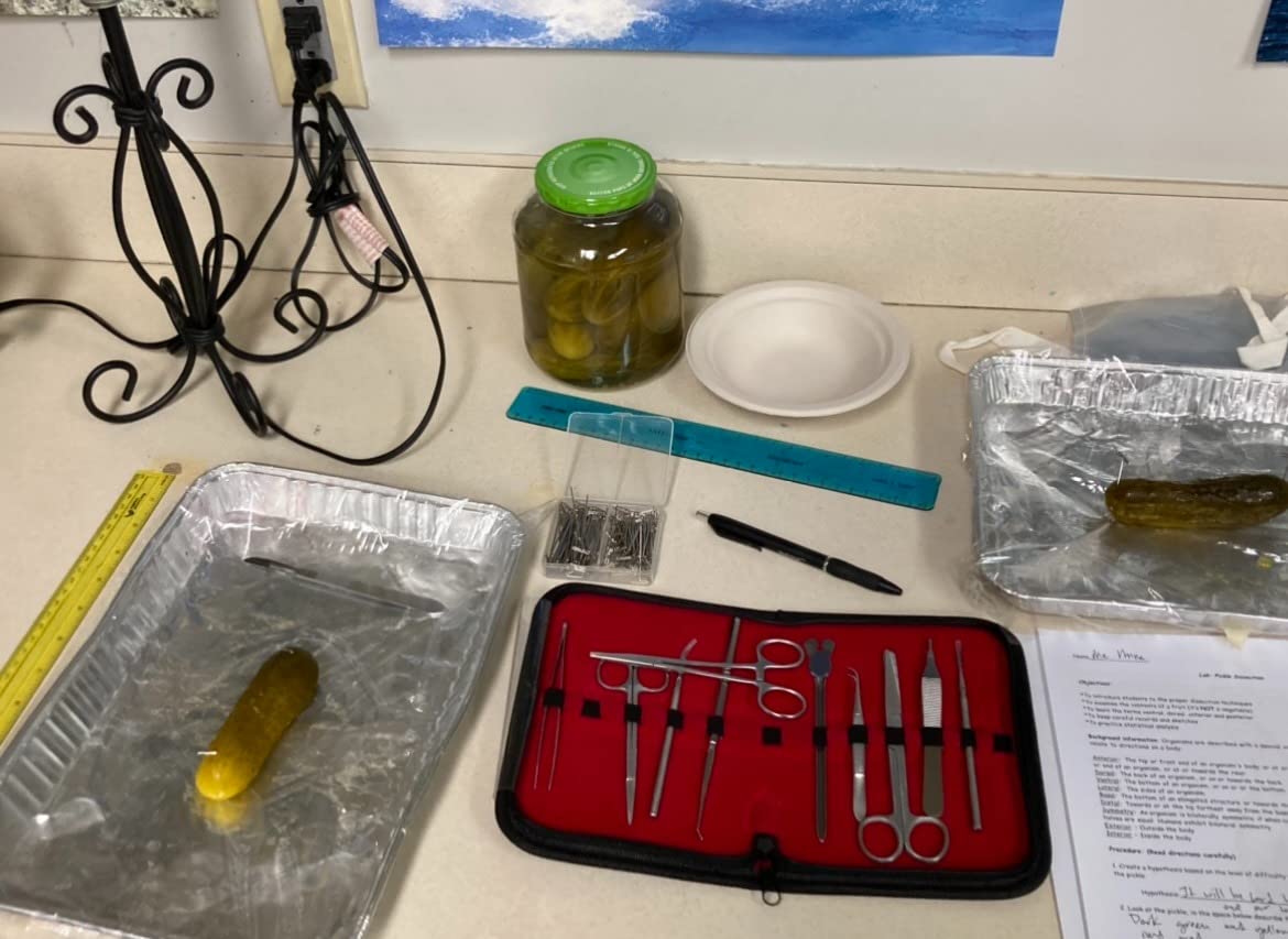 Amazon.com: 20 Pcs Dissection Dissecting Kit Set Tools - for Advanced ...